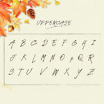 Aiden Font - Lovesvg.com